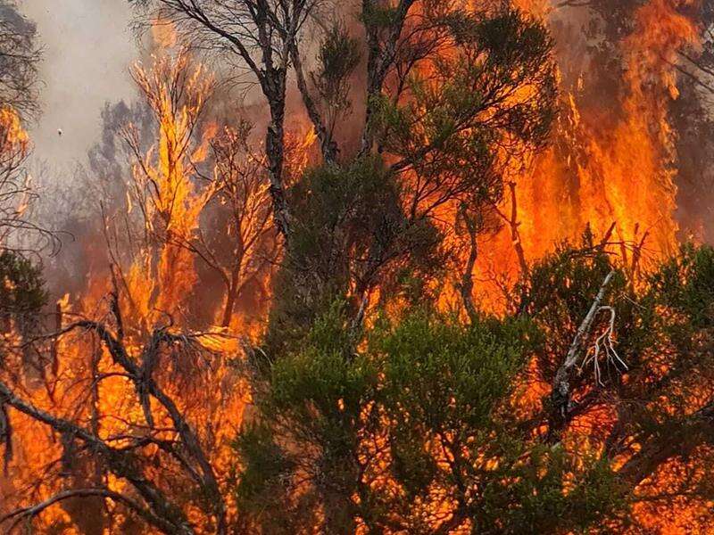 Queensland on high alert as crews battle bushfires | Kyabram Free Press