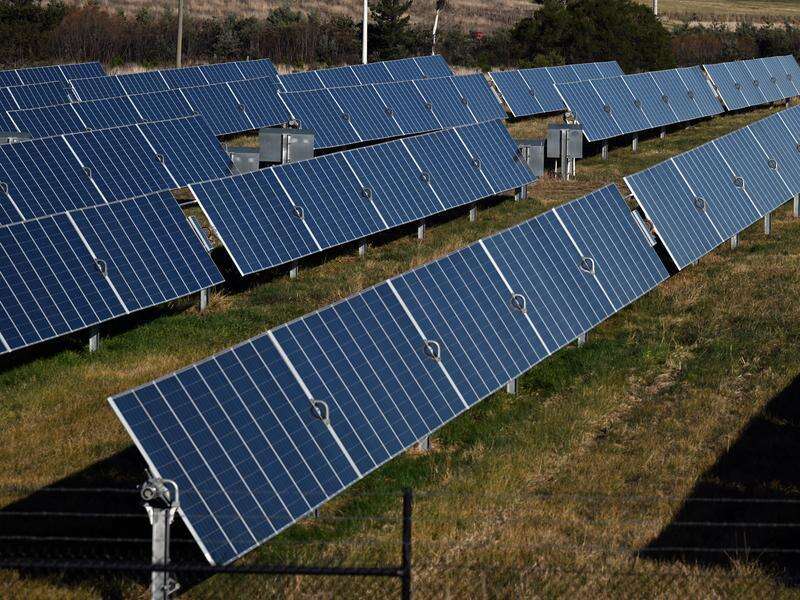 Call to bring forward net-zero to future-proof economy | Country News