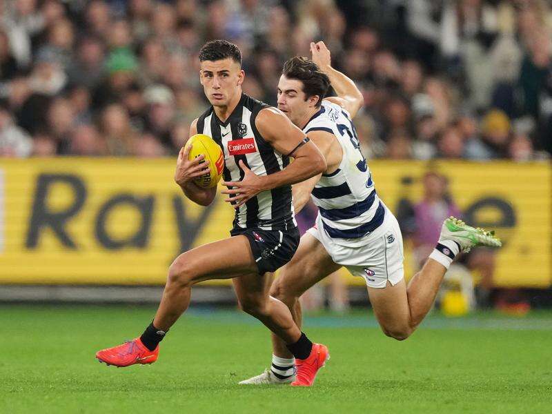 Magpies seek best of both worlds in Nick Daicos tags | Kyabram Free Press