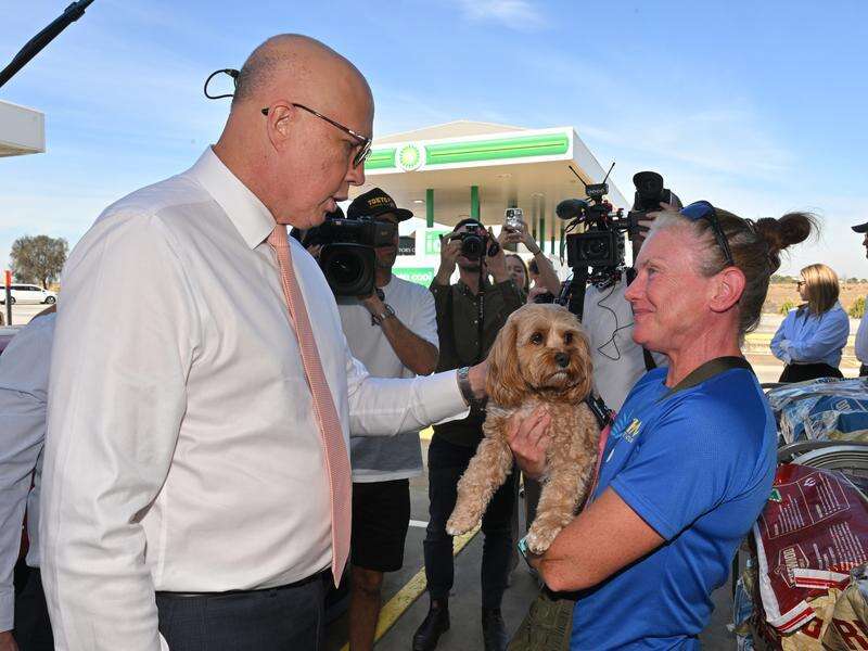 Puppies and petrol stations as Dutton keeps on trucking | Campaspe News