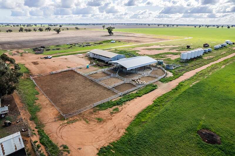 Clipex ramps up at AgQuip | Dairy News Australia