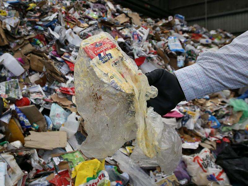 From farm to table, less food is being wasted: report | Country News