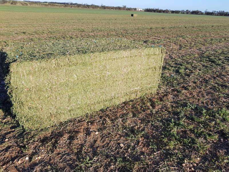 Tama Australia product helps produce greater quality and heavier bales ...