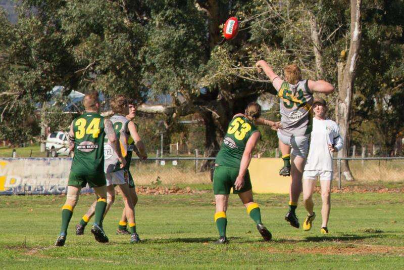Bats crash at final hurdle | Riverine Herald