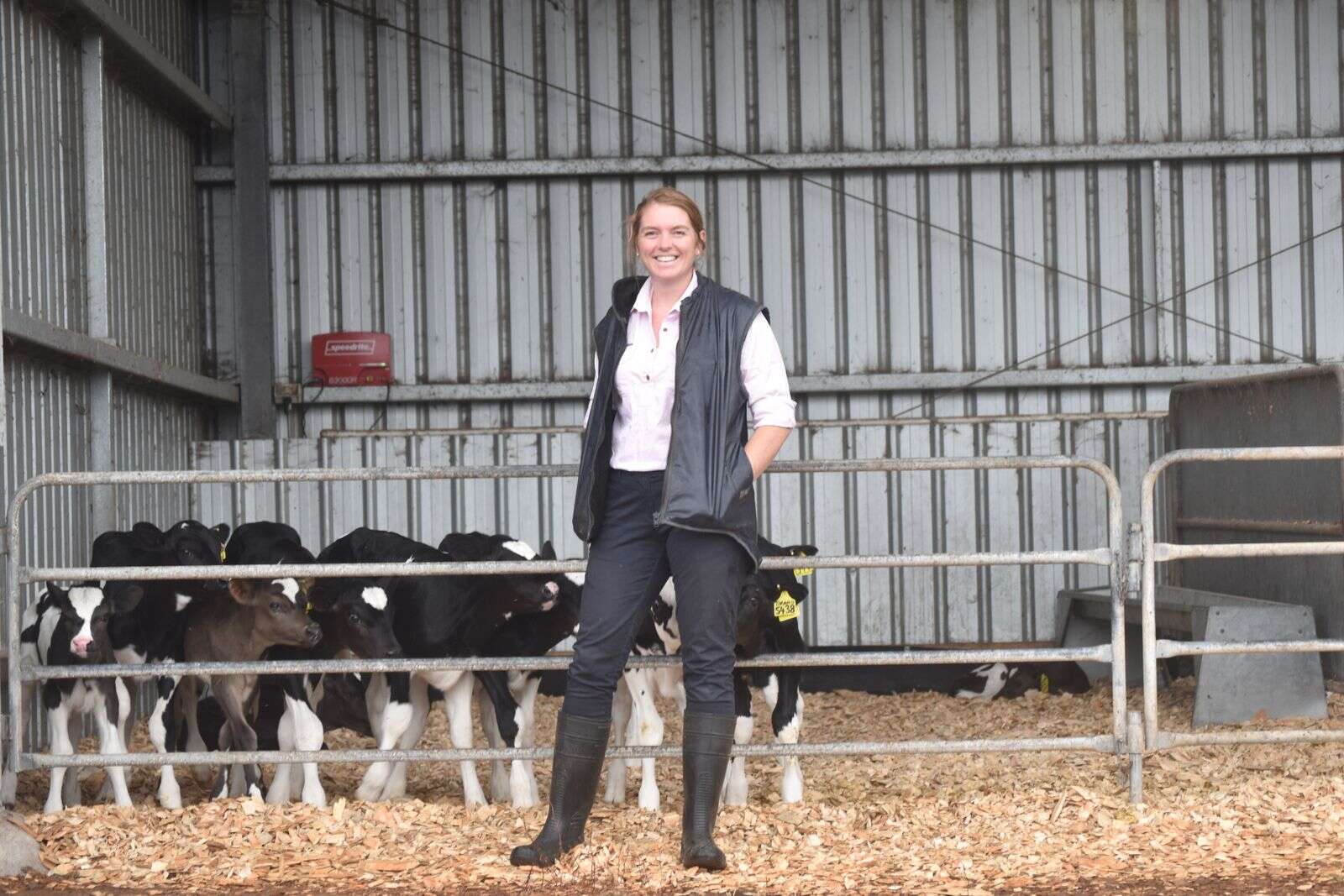 Caring for cows and people | Dairy News Australia