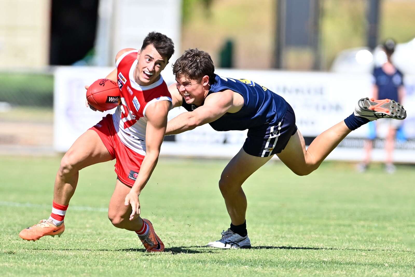 Gallery | How will Shepp Swans go in 2024? | Shepparton News