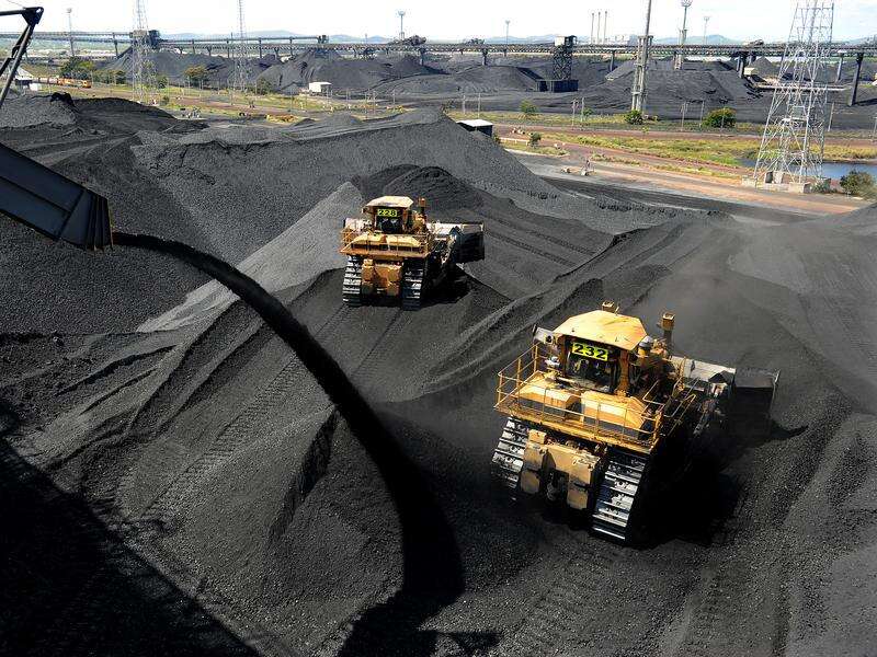 Call to snuff out 'dead end' coal, hit net zero by 2040 | Country News