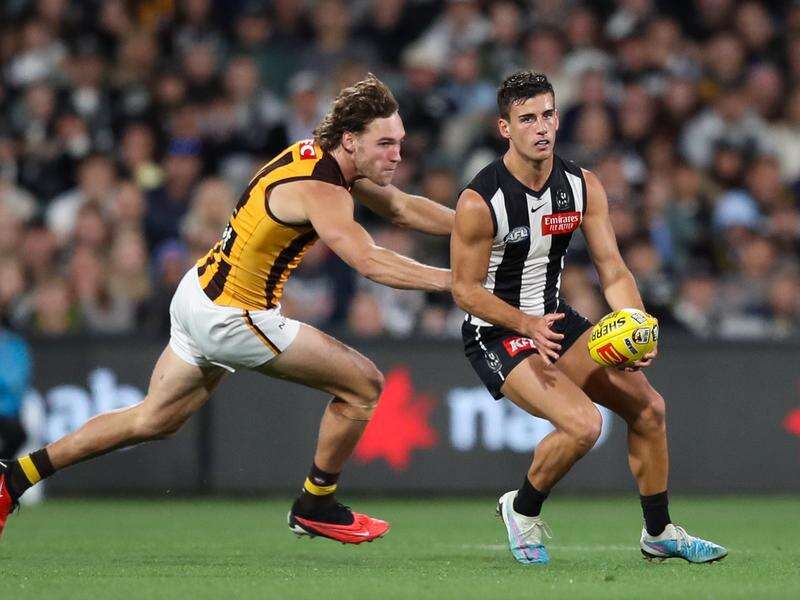 Pies building AFL flag case ahead of Power test: Daicos | Corowa Free Press