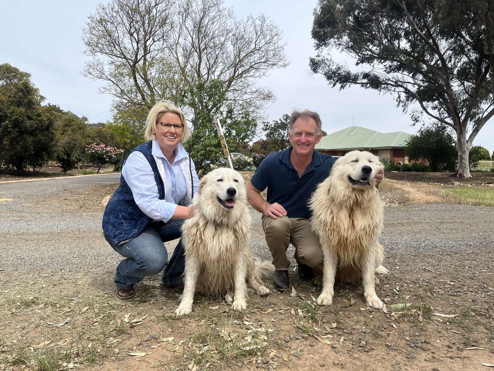 Managers Misty and Mack the Maremmas | Country News