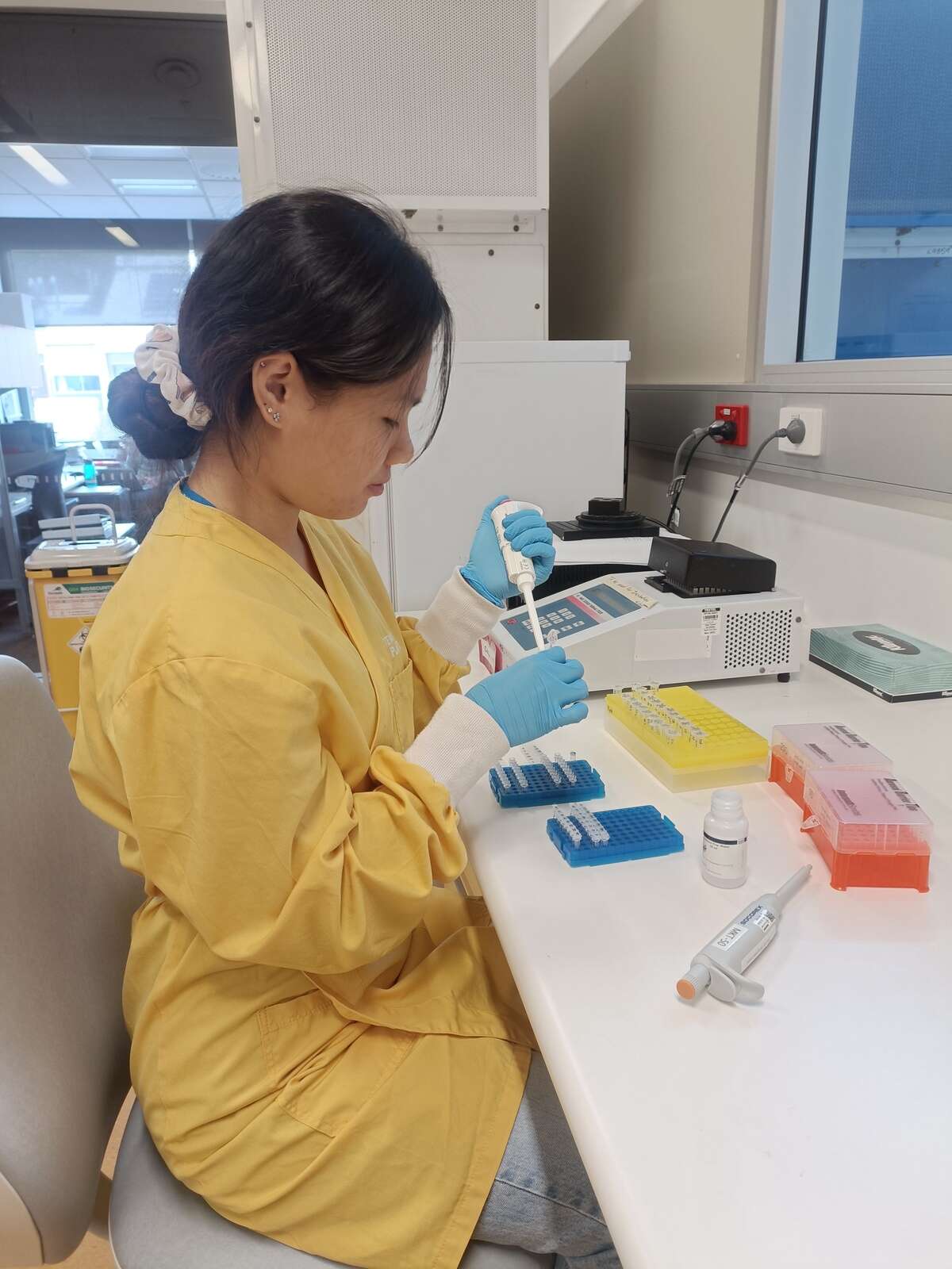 Testing kikuyu to solve an industry mystery | Seymour Telegraph