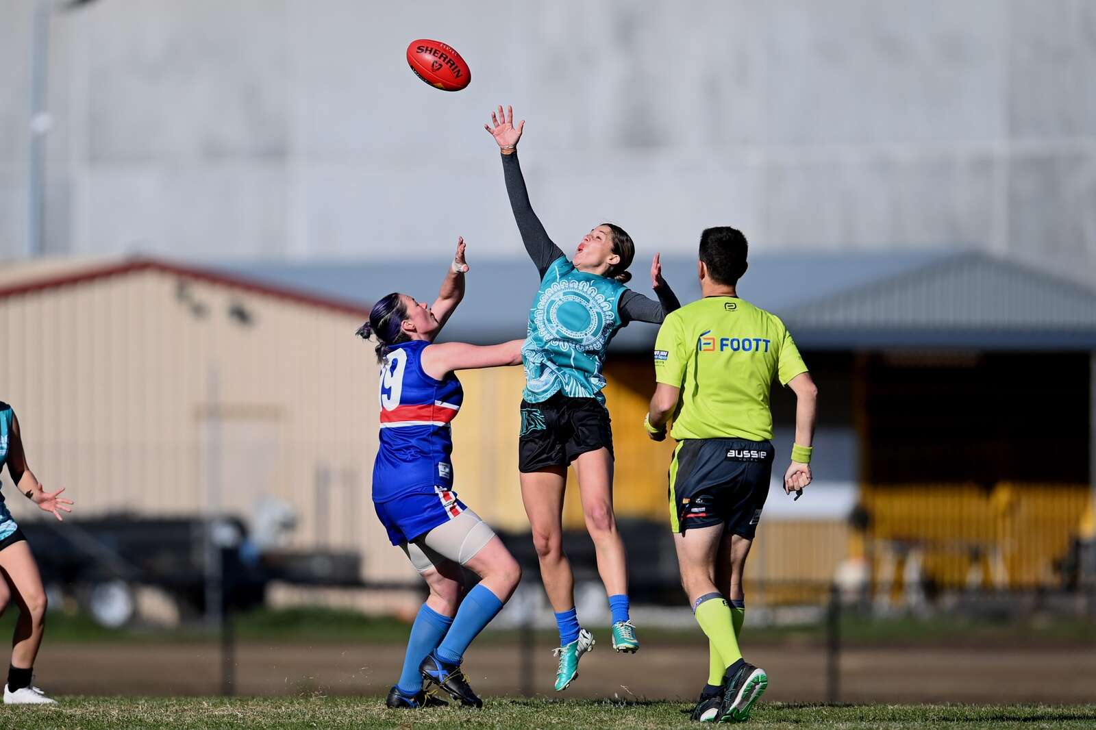 From winless in eight to one of the comp’s form teams, Rumba’s ...