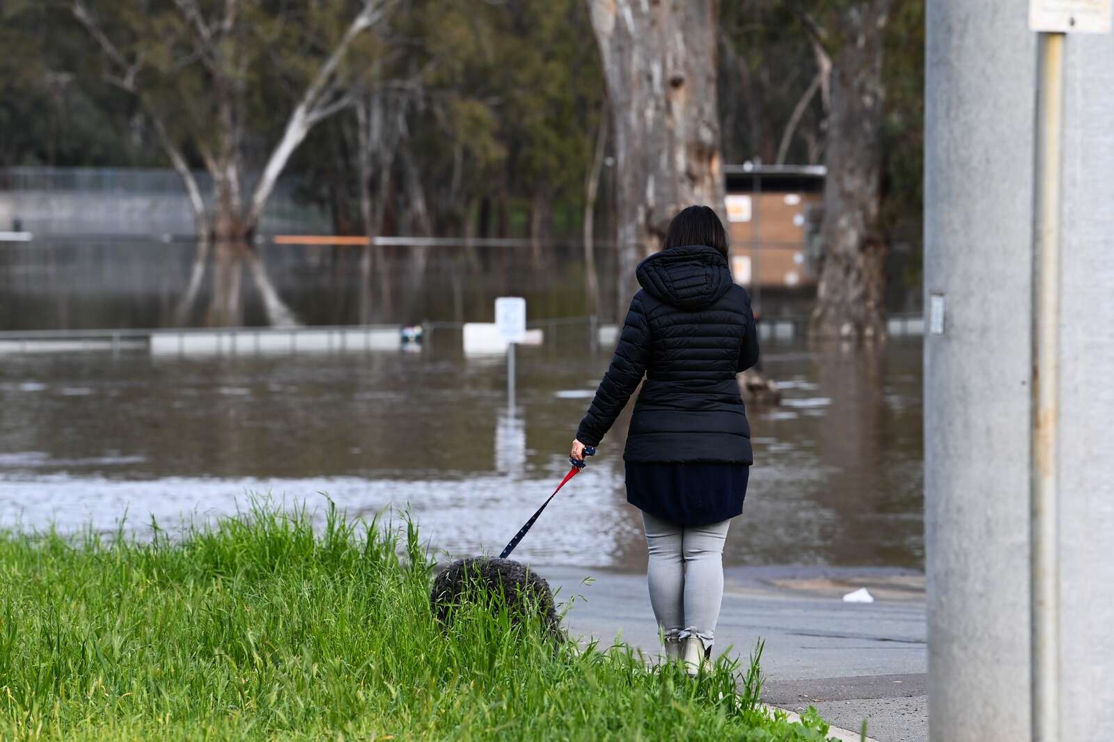 Long road to recovery after floods for Greater Shepparton | Shepparton News