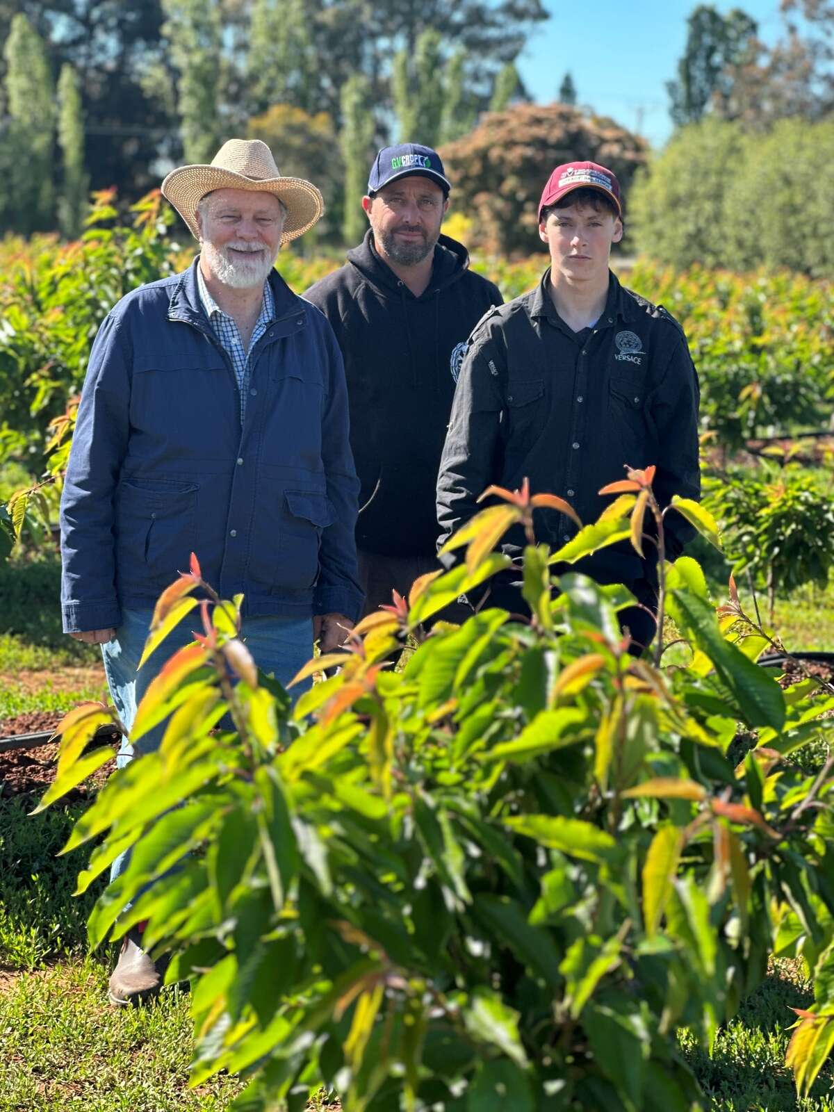 Cherry orchard is rocking water savings | Country News