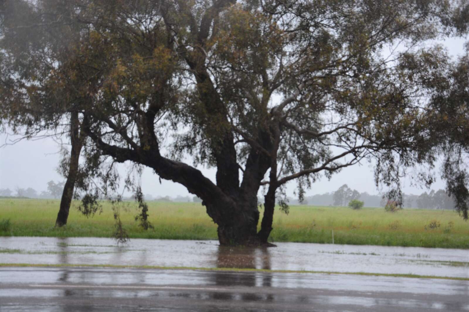Strathbogie Council to implement updated flood controls | Yarrawonga ...