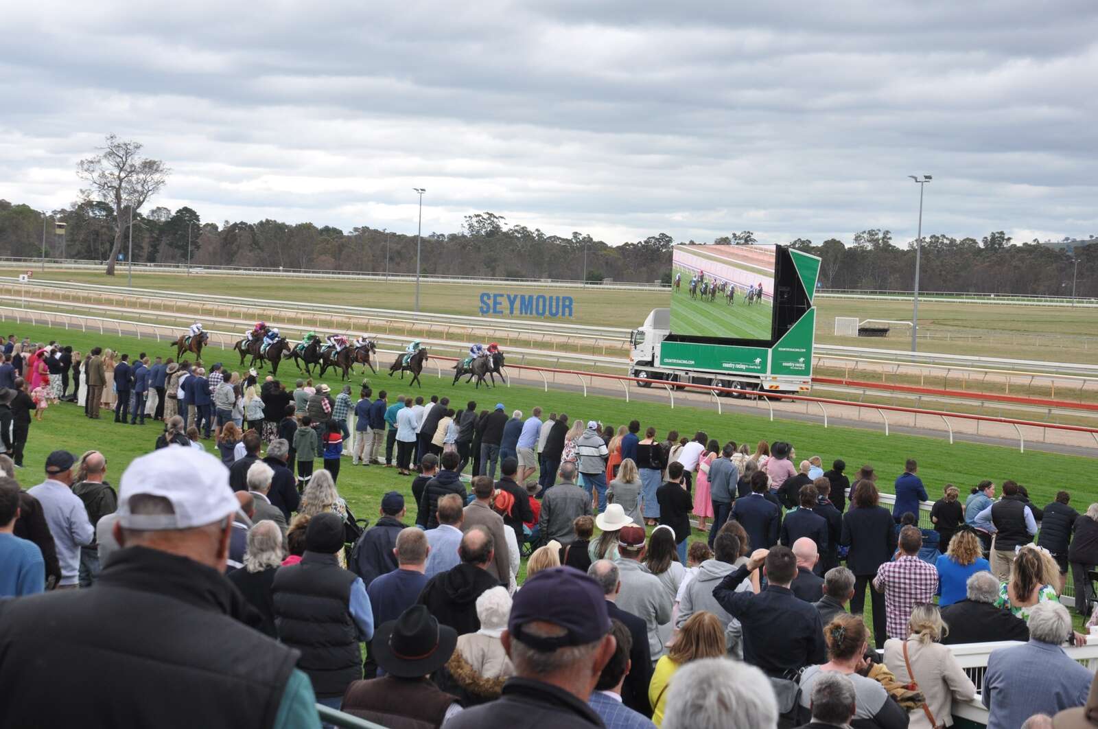 Seymour Racing Club offers exclusive benefits for 2024-25 members ...