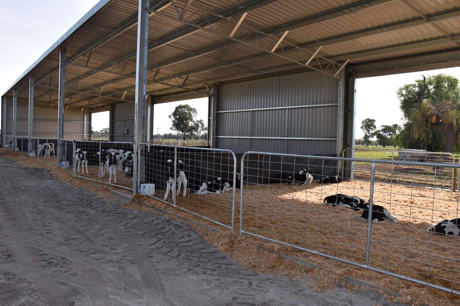 Flexibility is the name of the game | Dairy News Australia