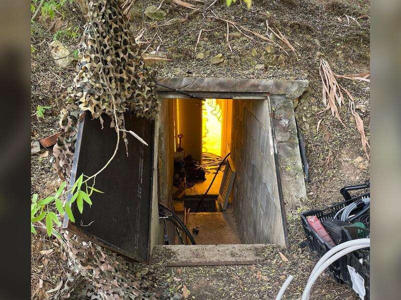 Cops find drug bunker filled with cannabis | Country News
