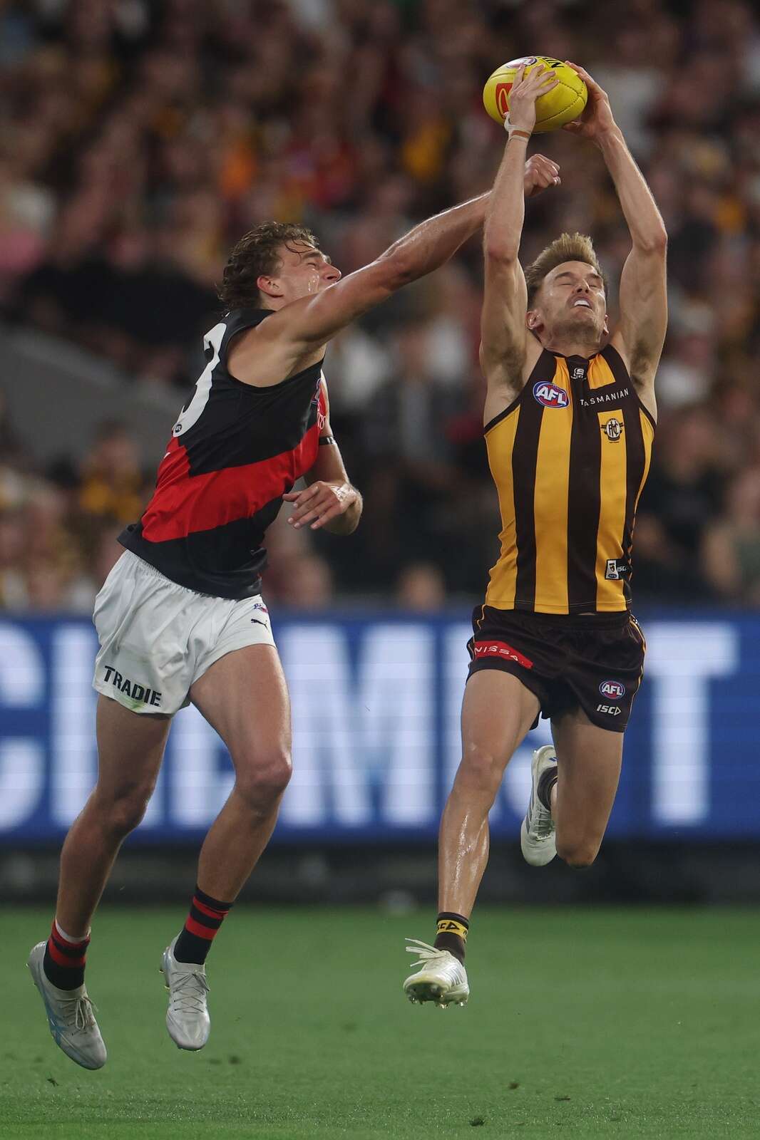 Benalla product Joe Berry makes AFL debut | Benalla Ensign