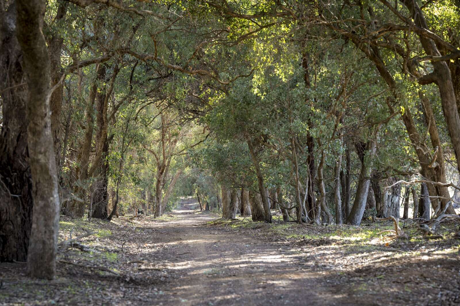 Rare chance to own rural property in Tatong Valley | Riverine Herald