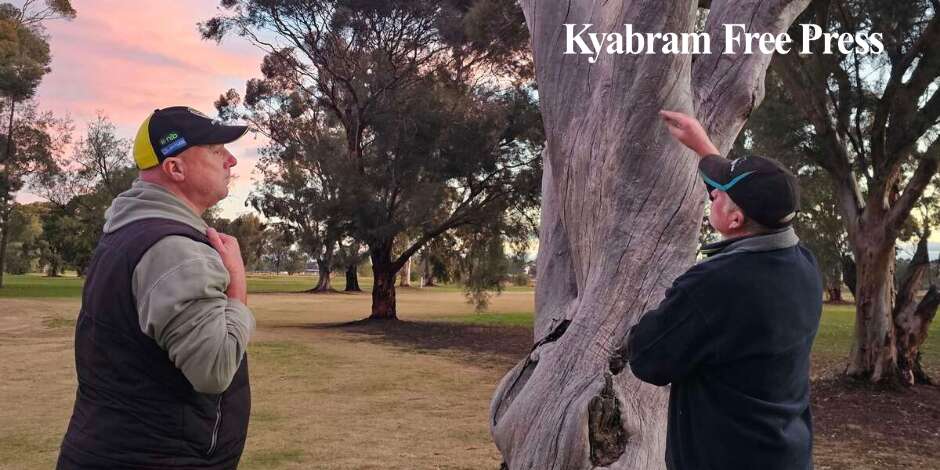 Kyabram Parkland Golf Club getting colourful new addition | Kyabram ...