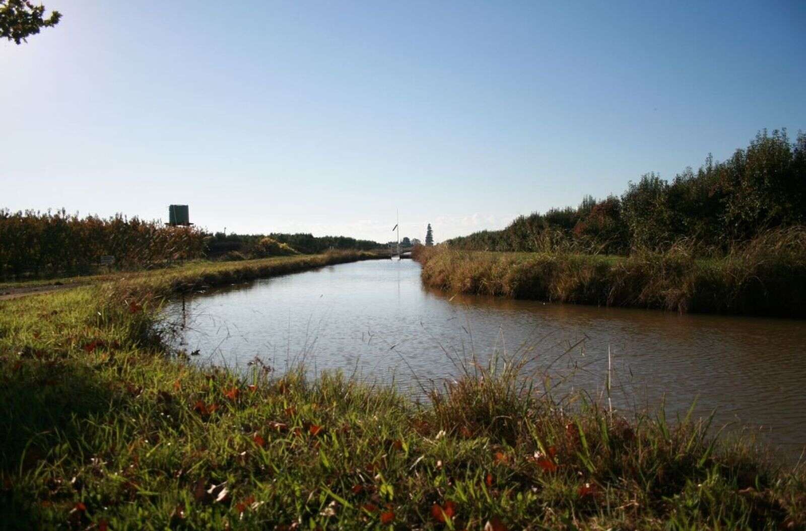 Victorian Murray system hits 100% | Shepparton News