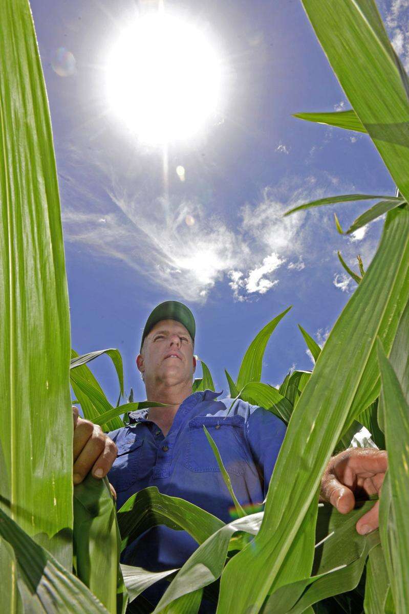 Work must continue despite heat | Country News