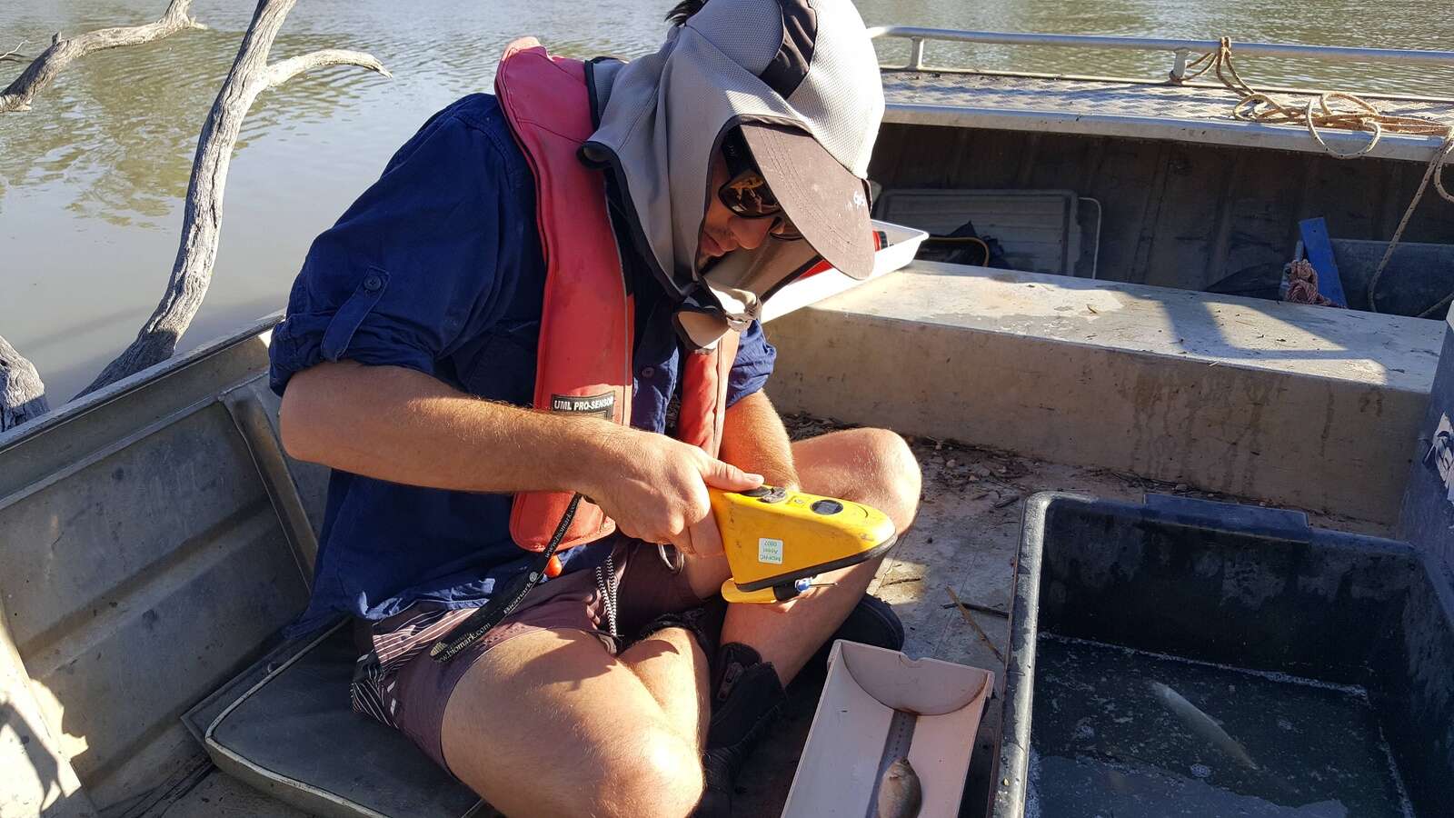 Anglers hooked on fish tagging | Shepparton News
