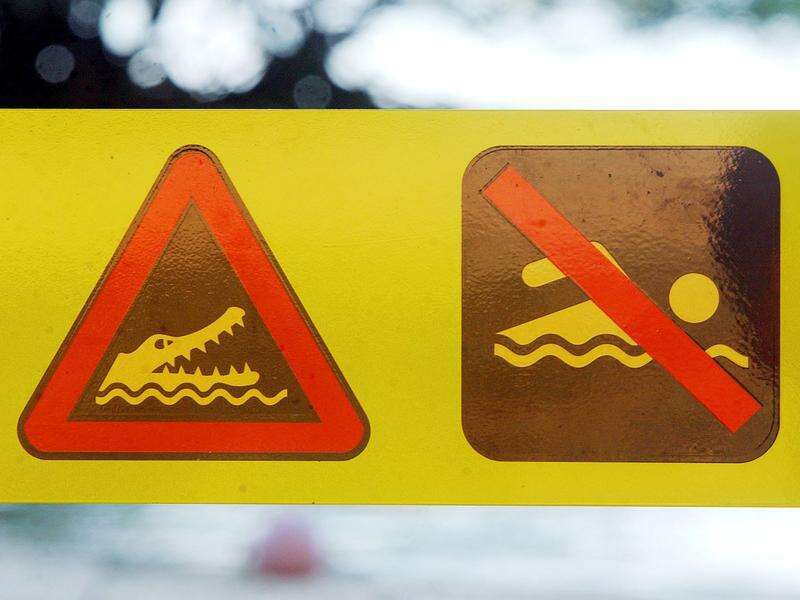 Reported crocodile sighting near Brisbane | Country News