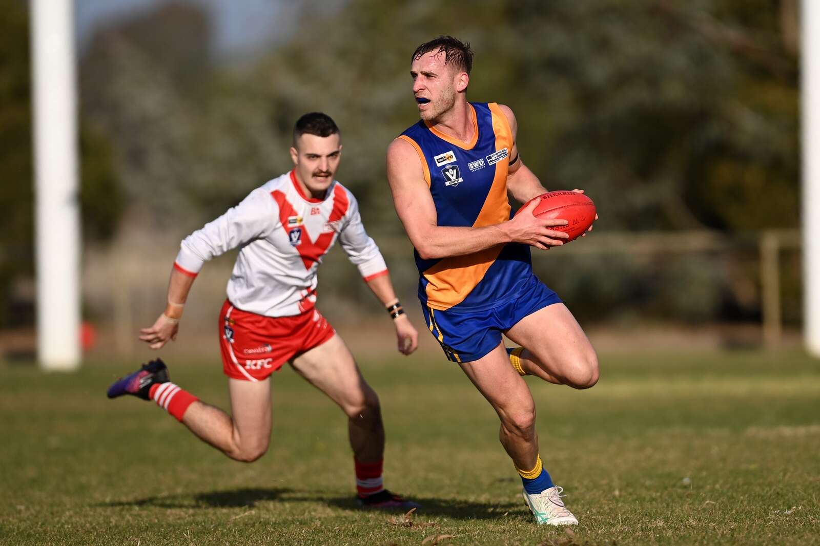 Wombats continue waddle to the top | Kyabram Free Press