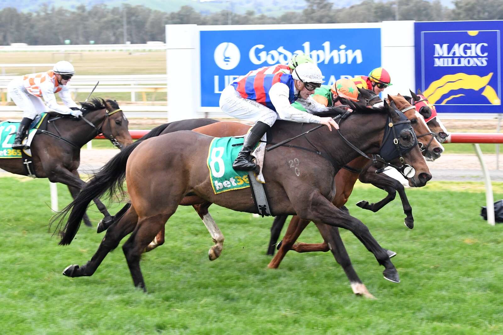 Local trainers salute at Seymour Racing Club’s Sunday Funday | Seymour ...