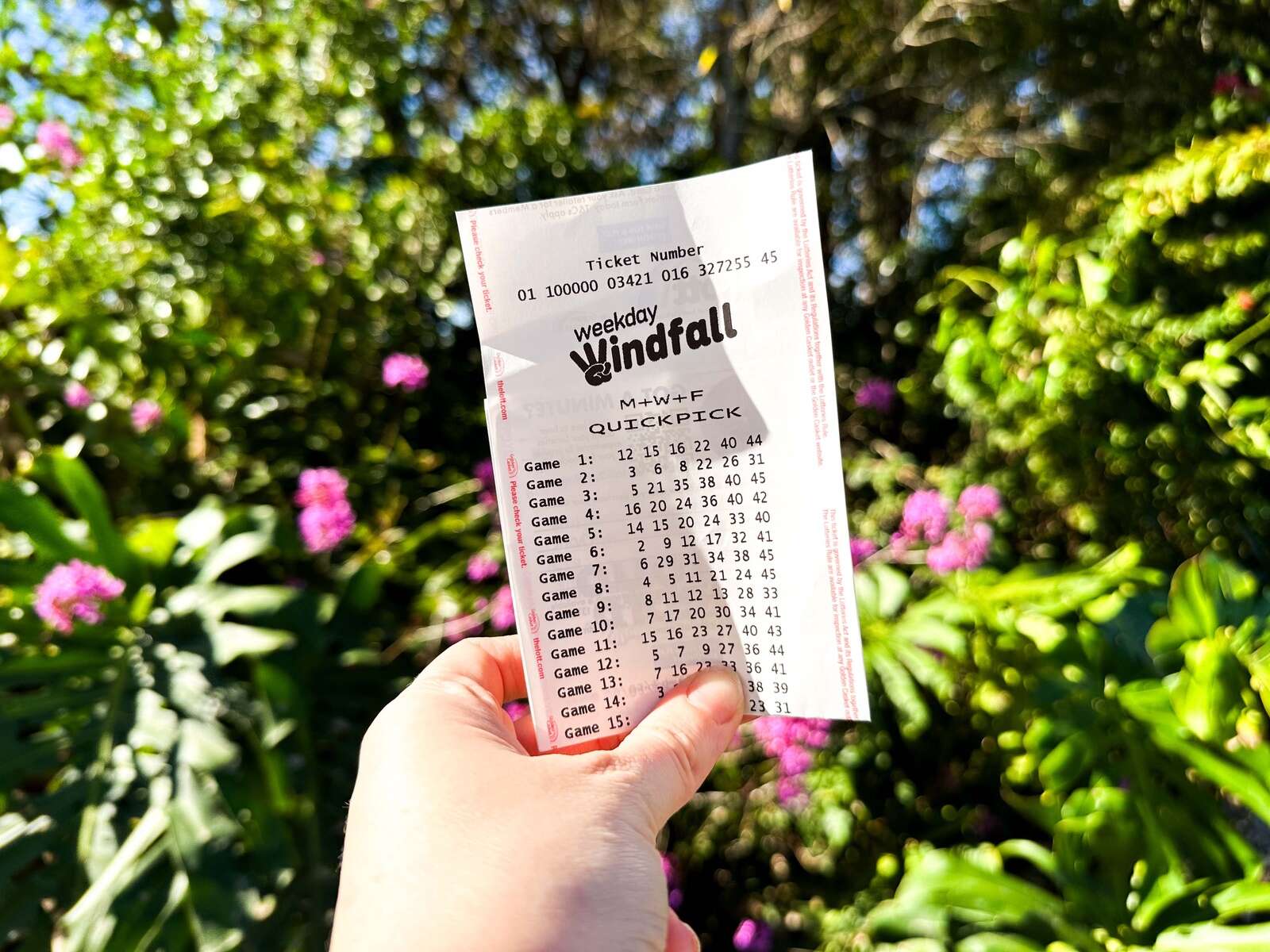 Late dad’s numbers lead to lottery windfall | Dairy News Australia