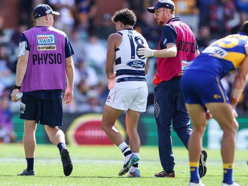 Injury-hit Geelong send Stengle, Stanley for surgery | Riverine Herald