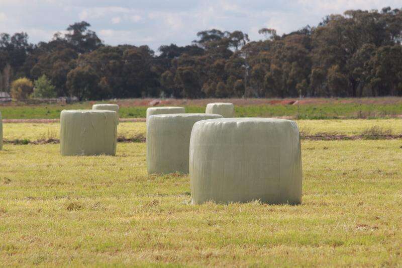That’s a wrap for silage wrap | Seymour Telegraph