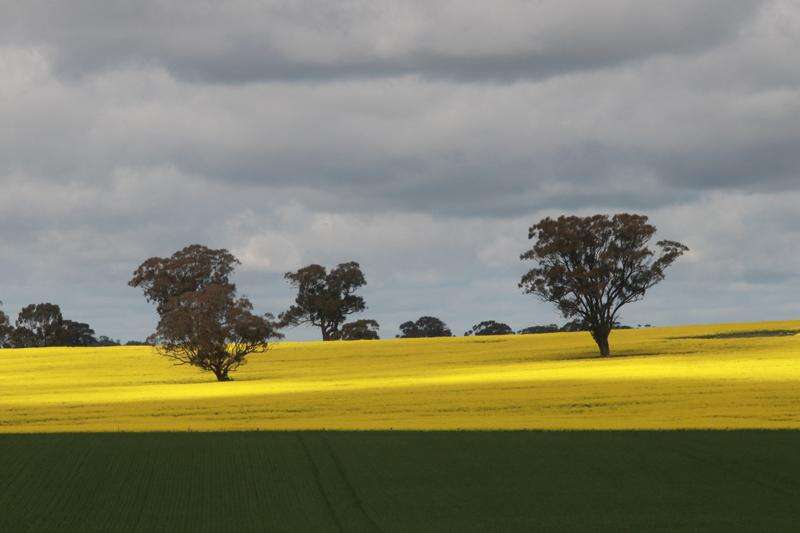 Stop Coobar solar farm, says MP | Dairy News Australia