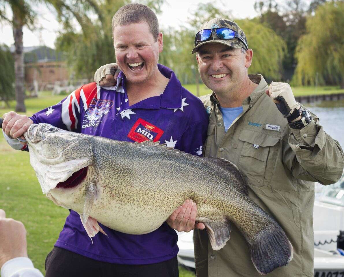Oh my Cod! Season opens Sunday | Dairy News Australia