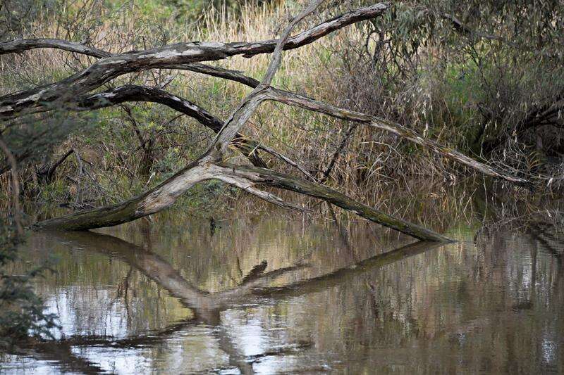 Recycled water to be released into Yea River | Seymour Telegraph