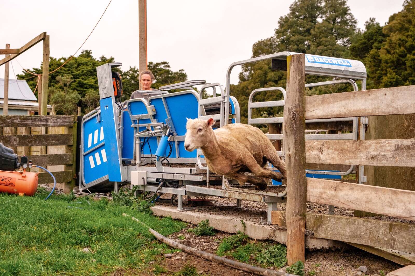 Less labour, more productivity | Dairy News Australia