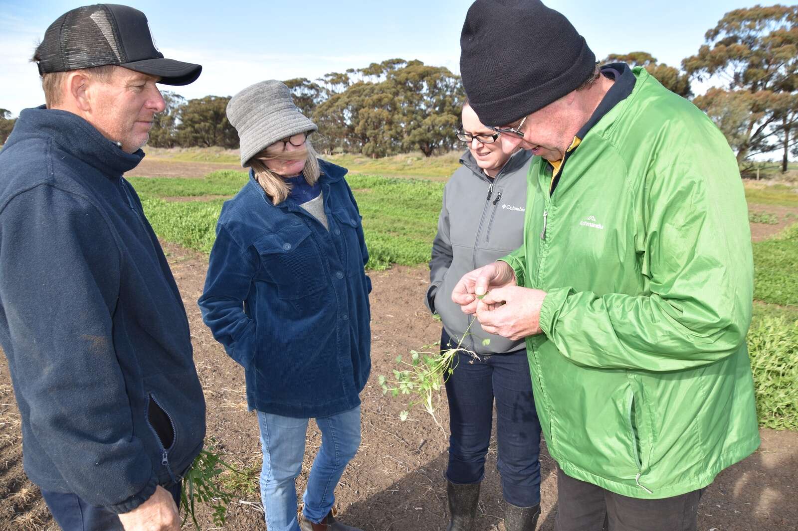 New ideas for farmers at Research Field Day | Riverine Herald