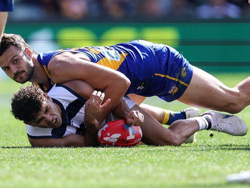 Goalsneak Stengle hurt as Geelong crush West Coast | Country News