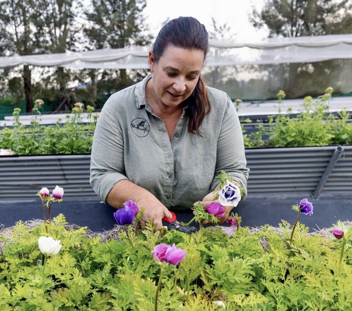 Old-fashioned charm with a modern twist | Seymour Telegraph