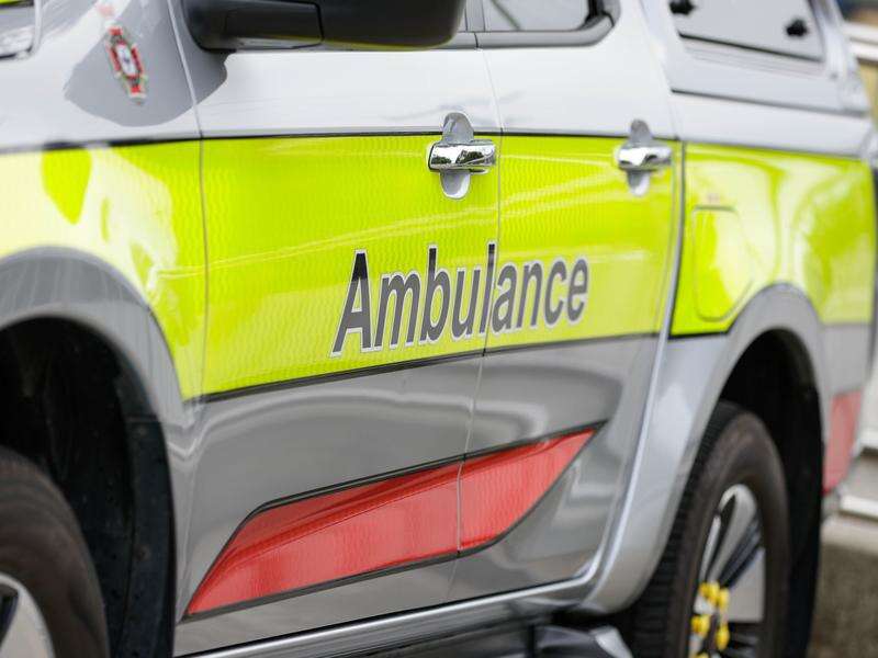 Three children injured in Queensland dog attacks | Shepparton News