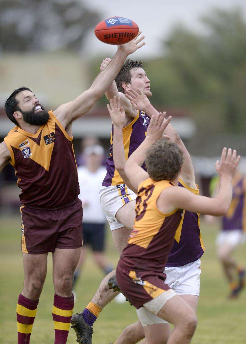 McCurry ‘leads’ the way for Tigers | Country News