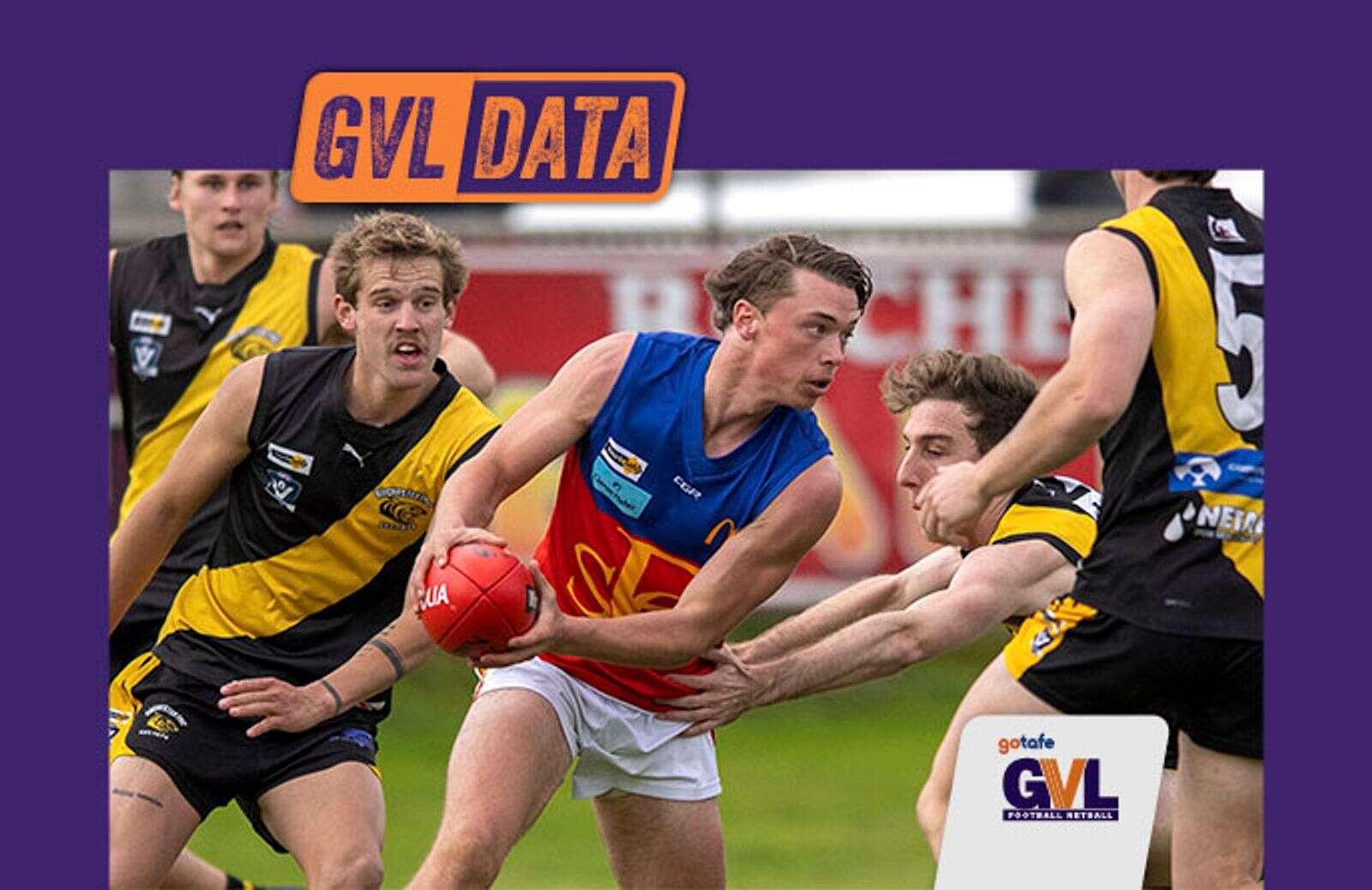 GVL Data | From NAB League to the GVL, Nick Quigg is making his mark ...