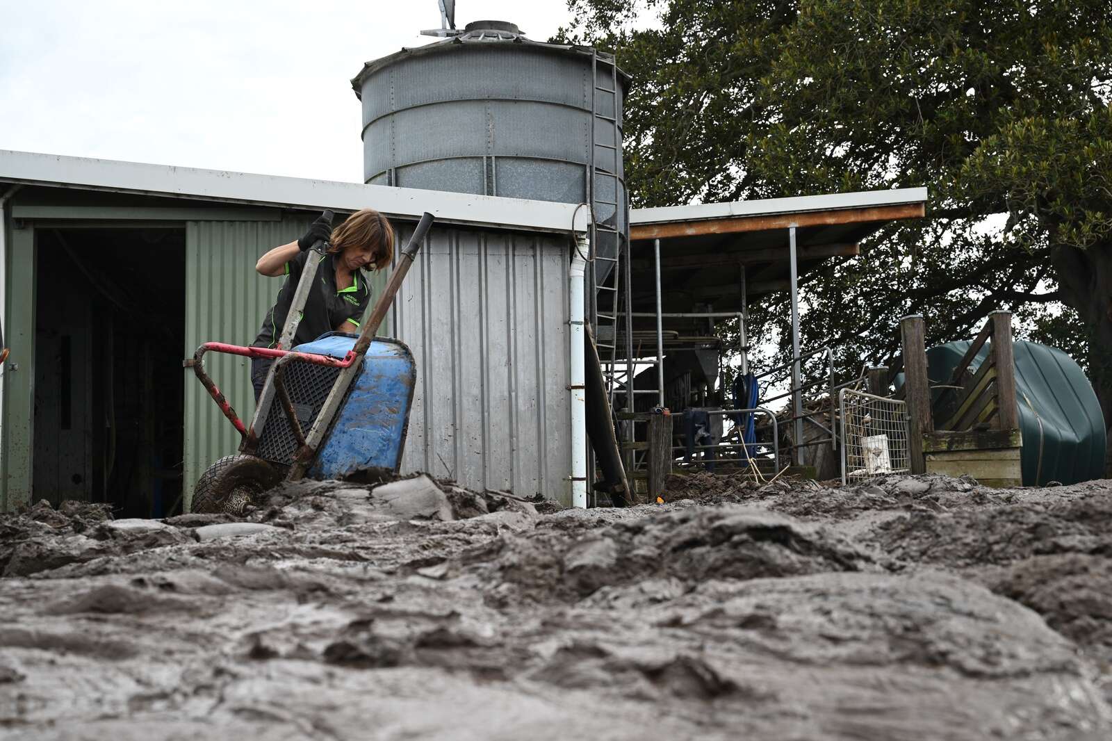 Disaster relief flows for flood-affected farmers | Dairy News Australia