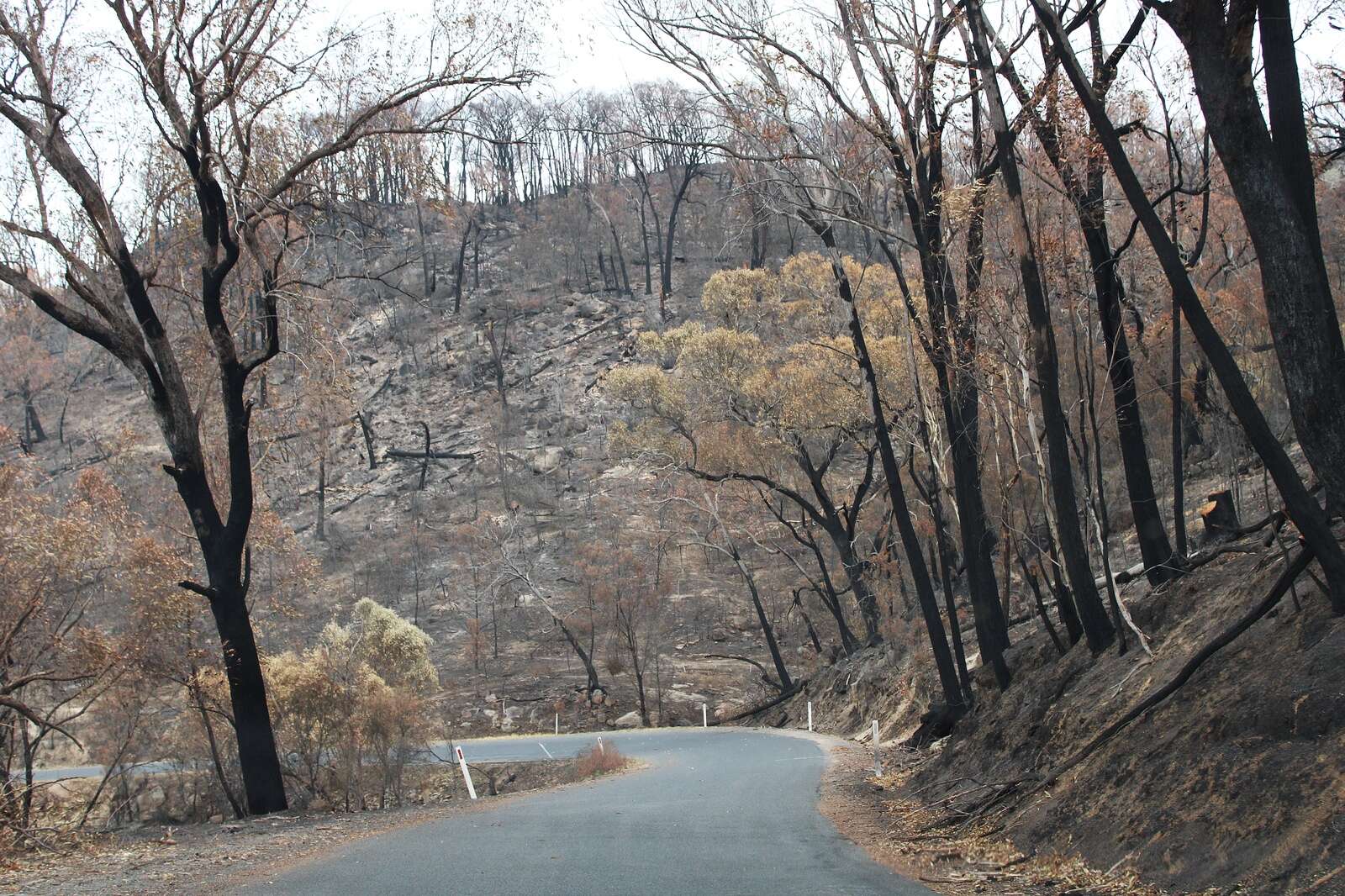 Donated fencing materials headed to Ruffy | Seymour Telegraph