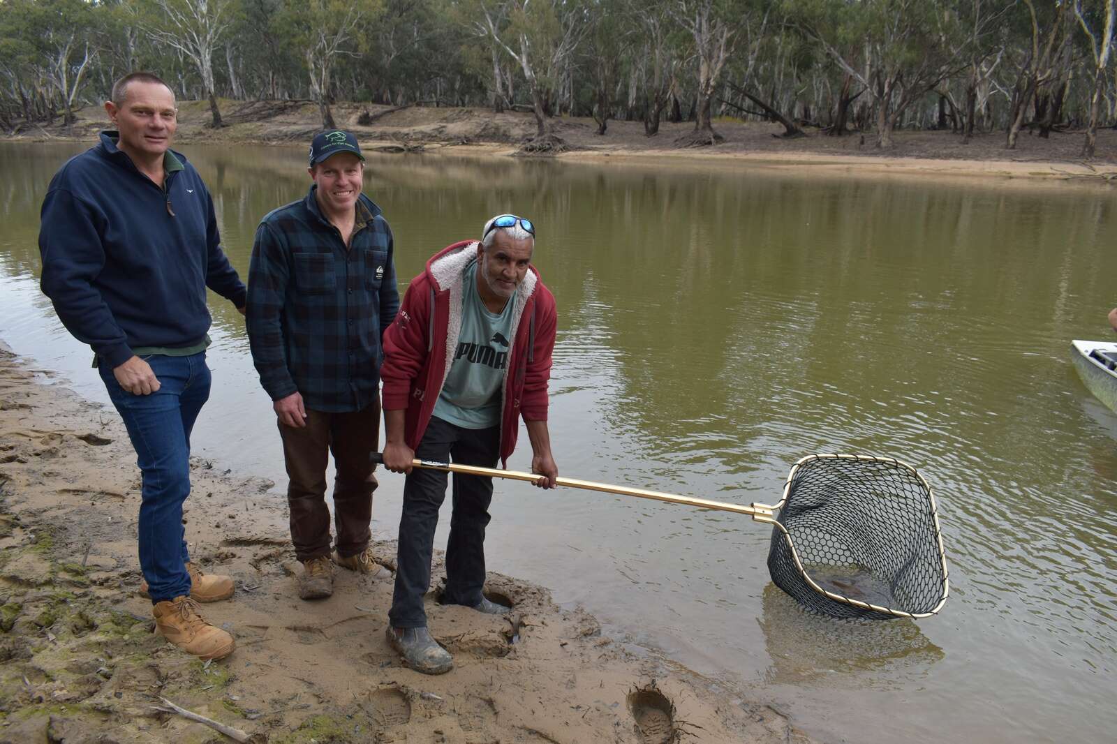 Catfish revival: Locally extinct species returned to Edward River ...