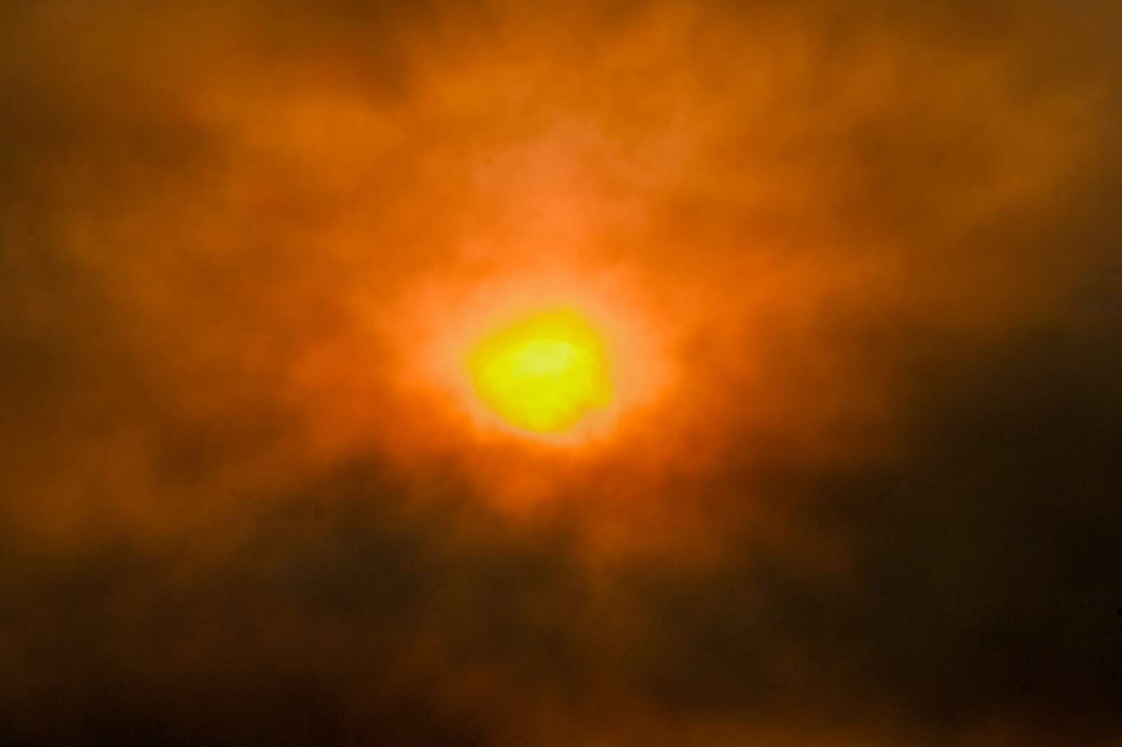 How you can help bushfire victims | Seymour Telegraph