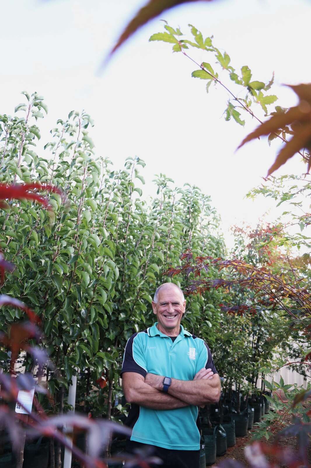 Growing for Success | Frame your garden with border plants | Benalla Ensign