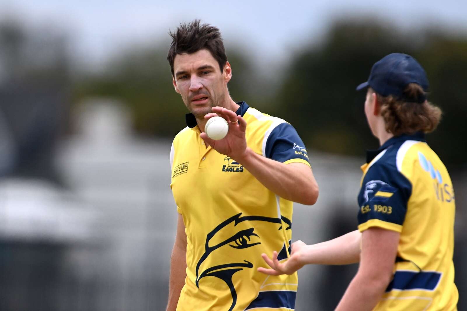 Haisman Shield | Gallery | Dominant Katandra skittles hapless ...