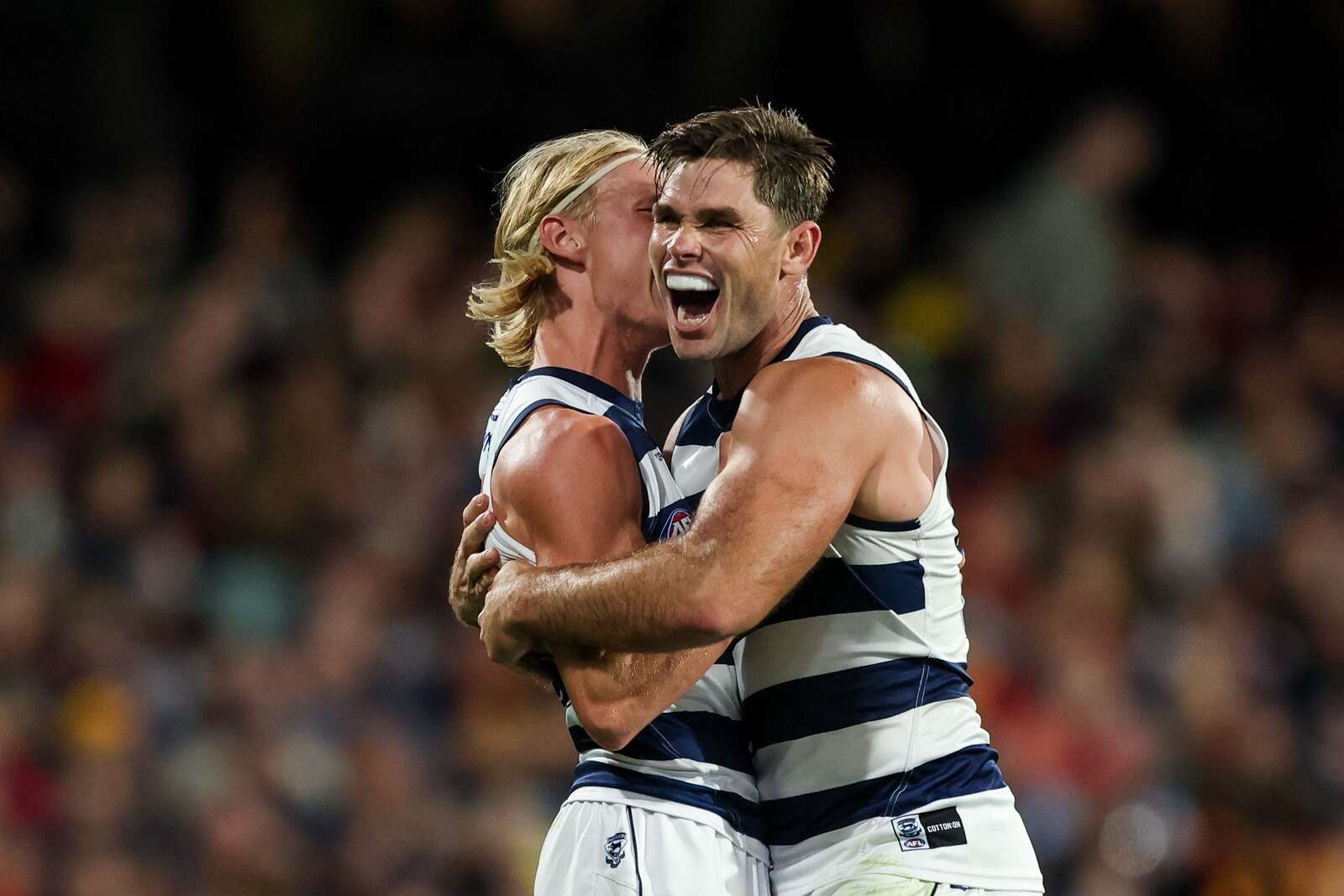 Will he, or won’t he? Chatter of Tom Hawkins’ Finley Cats return in ...